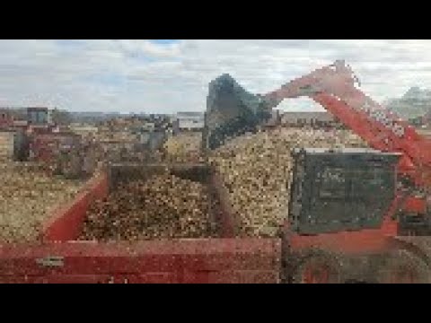 Prepping for spring field work! - YouTube