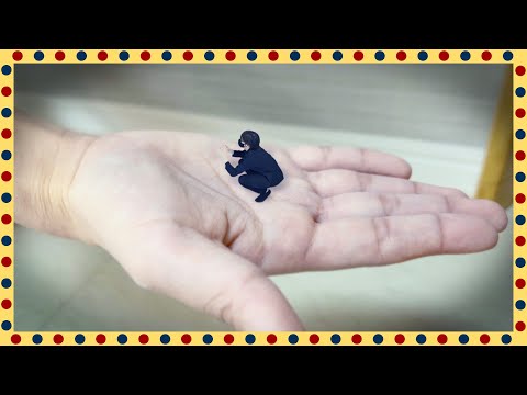 Can the man in the hands of the Giantess live？ | GIANTESS FAMILY