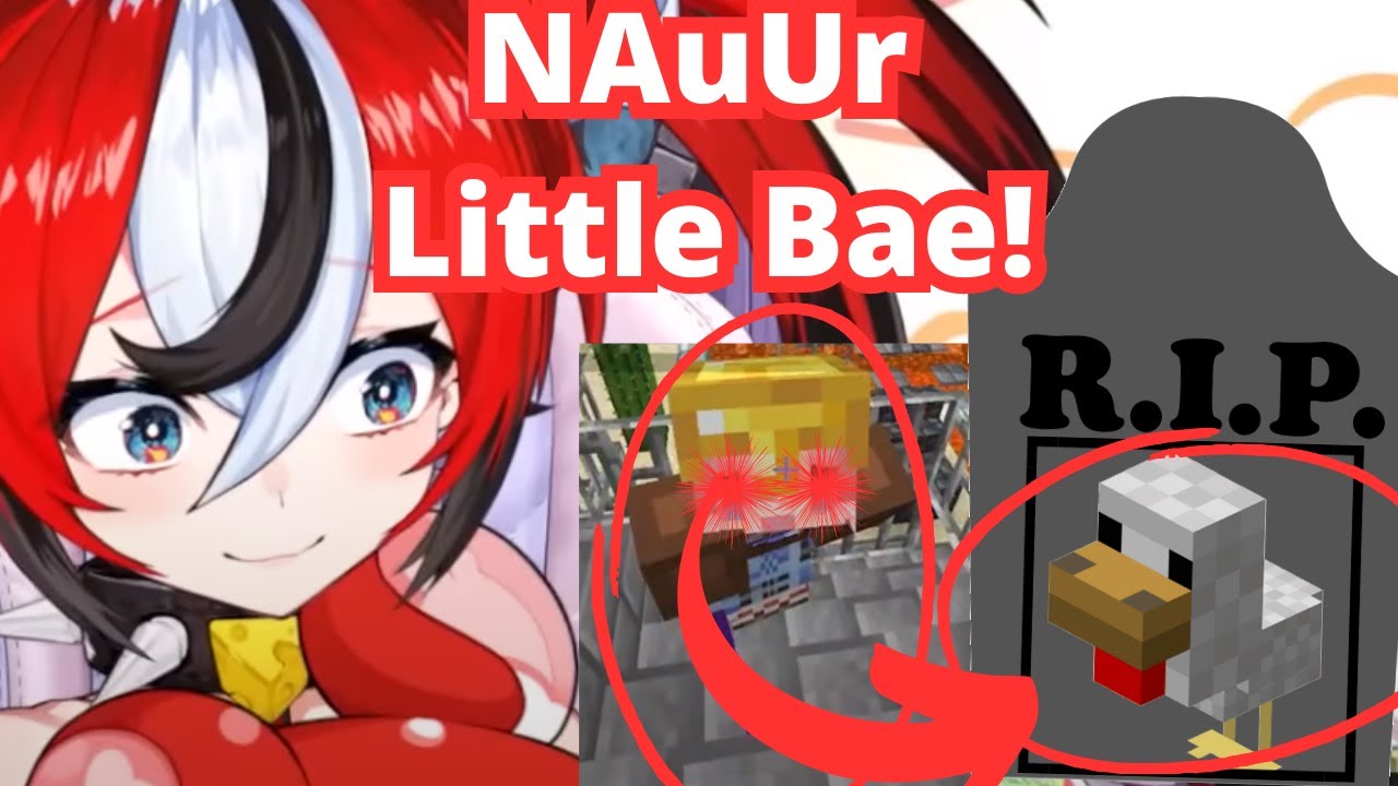 the short and sad story of 'little bae' the chicken - YouTube