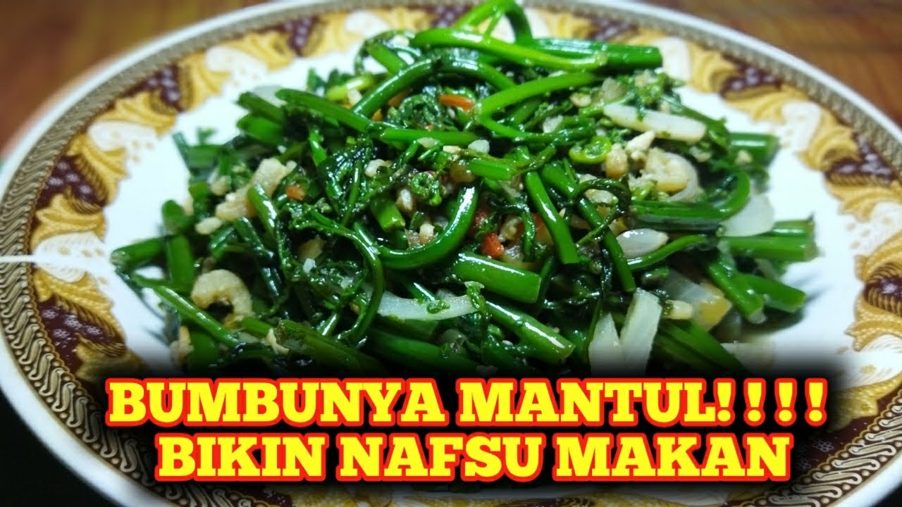 Cara Masak Sayur Pakis Yang Enak - YouTube
