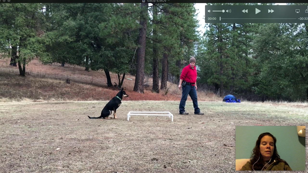 Running A-Frame Training Vlog: Episode 6 - YouTube