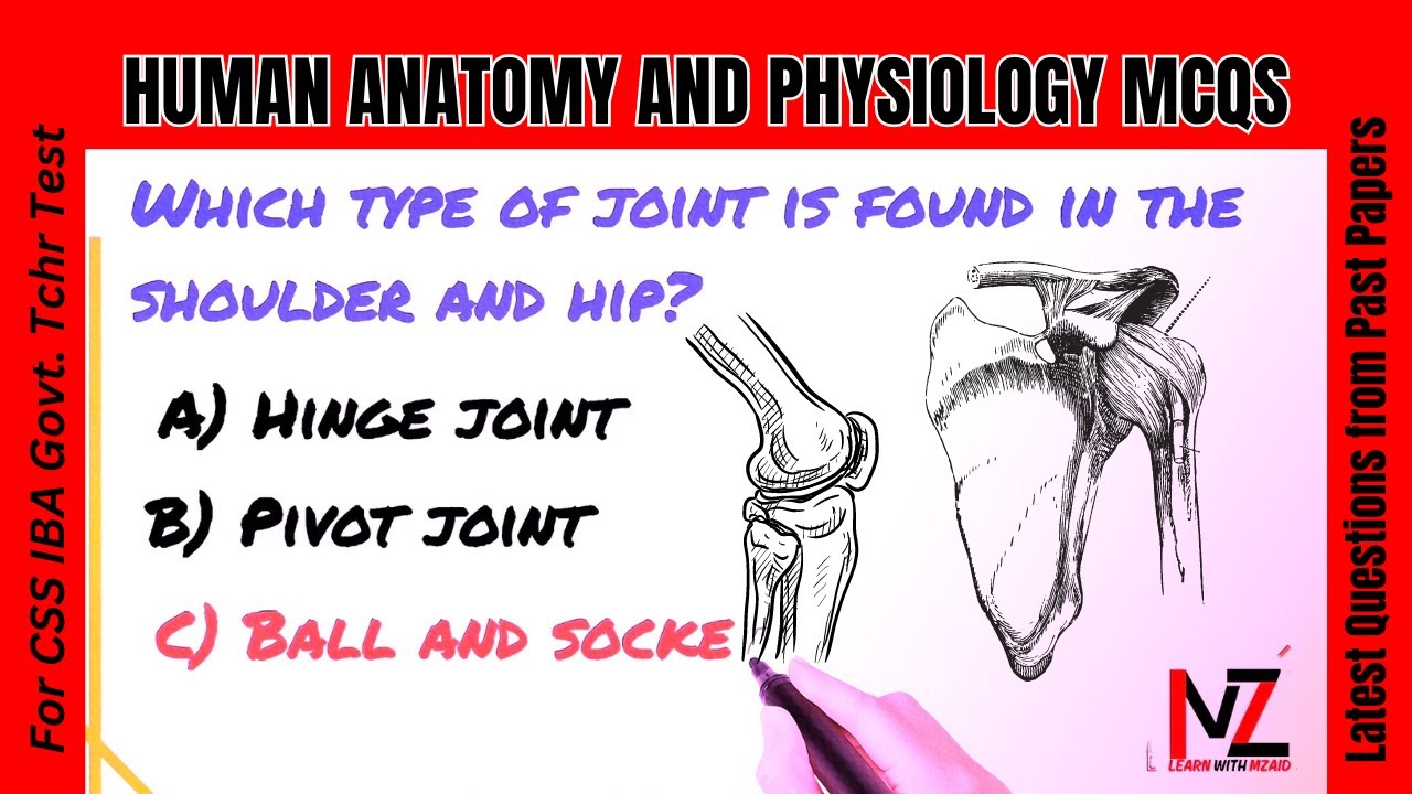 Human anatomy and physiology questions and answers | Anatomy and ...