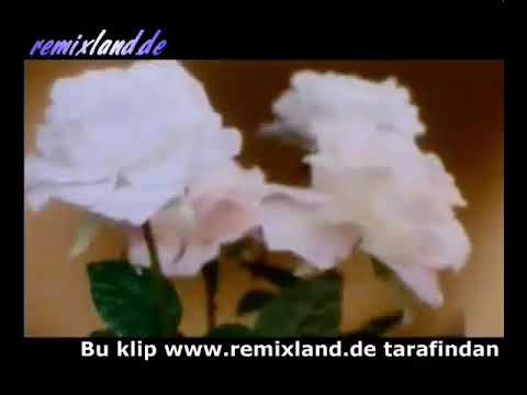 Sibel Can - Padişah مترجمة