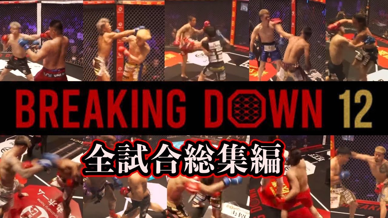 【ブレイキングダウン12】KOシーン有り！有料も含めた全試合総集編【朝倉未来/ブレイキングダウン/BreakingDown/オーディション/切り抜き】 - YouTube
