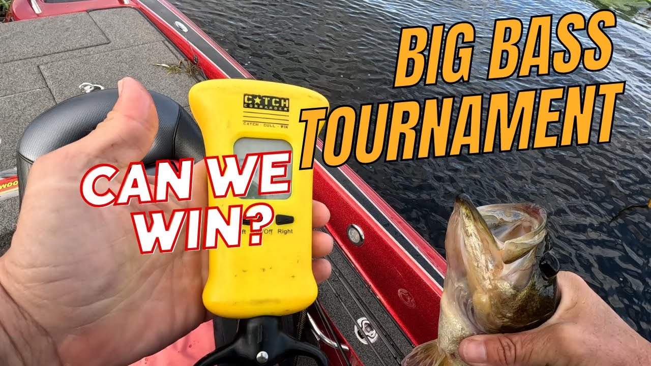 Local Big Bass Tournament. Flipping for one giant! - YouTube