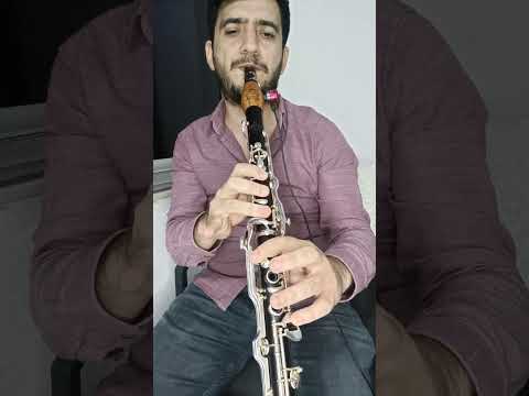 Klarnet yakın çekim eğitim Berivan