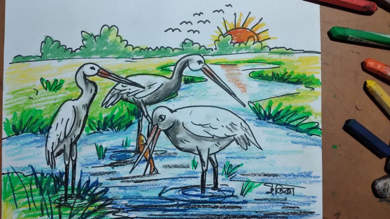 বকের দৃশ্য। how to draw heron's/ etika drawing school - YouTube