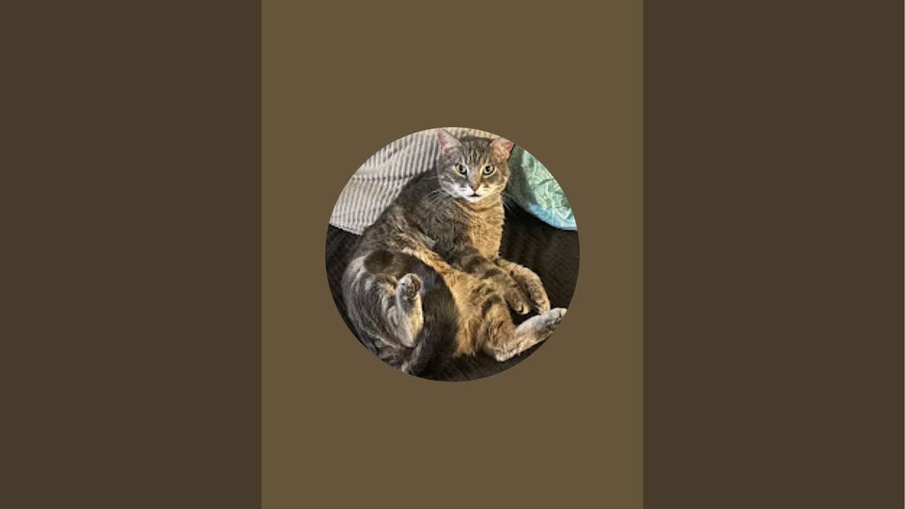 Can I beat level 2 in the Batman plug and play - YouTube