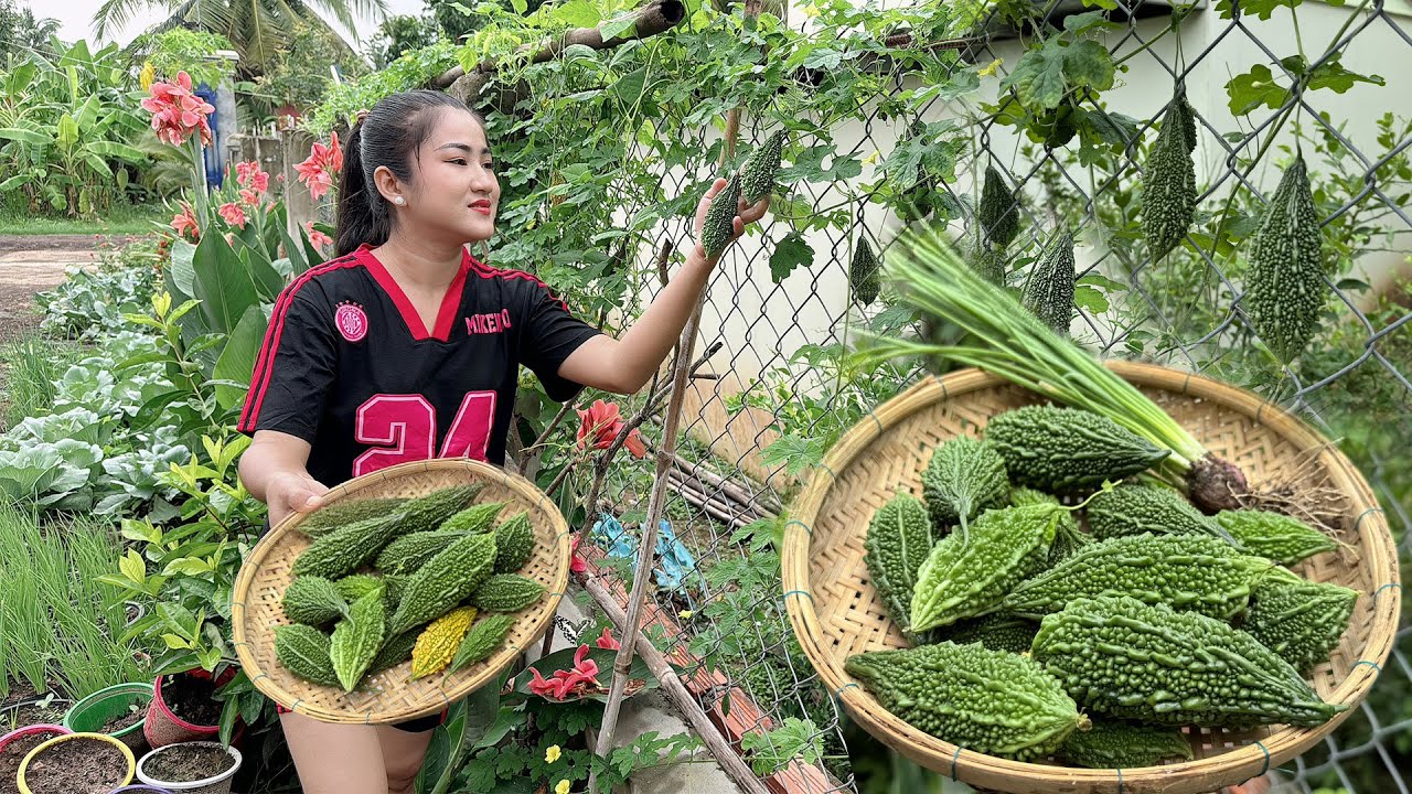 '' Mini Bitter gourd '' Have you ever cooked this bitter gourd before ...