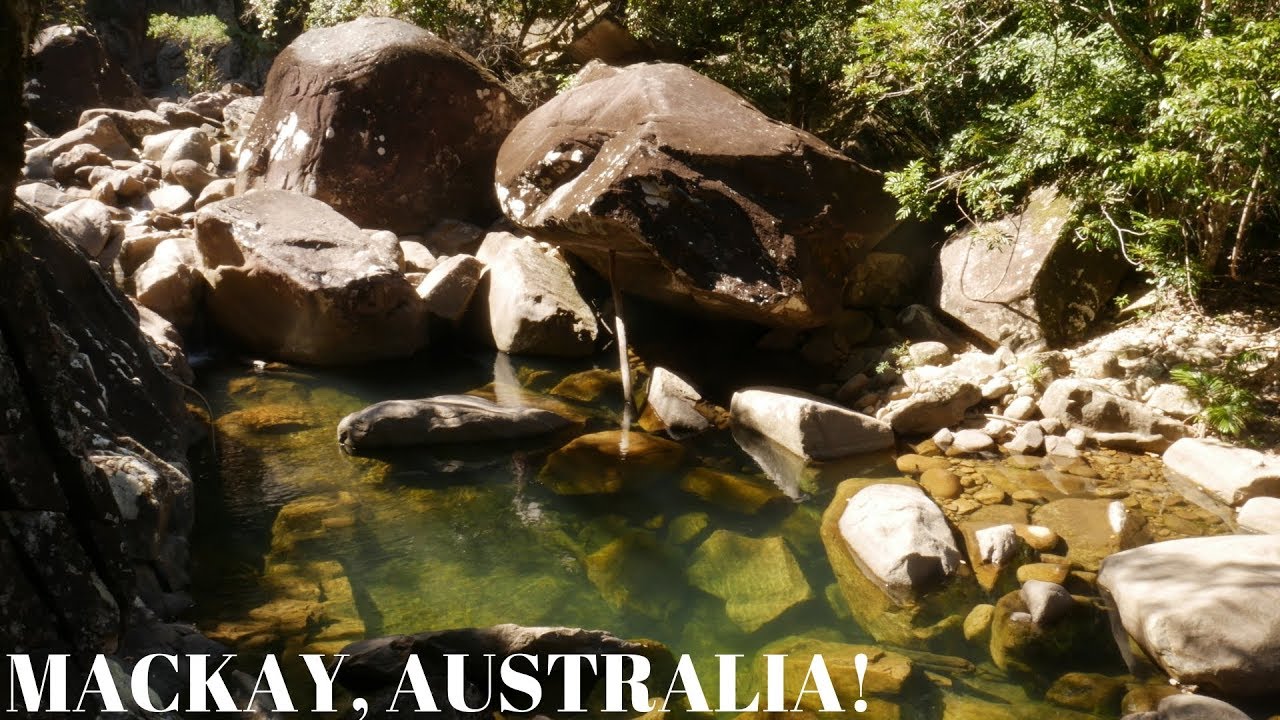 Hiking Mackay, Australia!: PLATYPUS! - YouTube