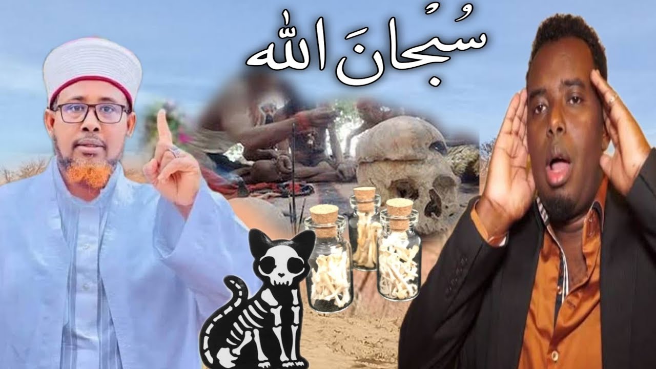 NAXDIN!! sheikh Rusheeye oo Dahir Calasow Quraan Saray kadib Markii la ...