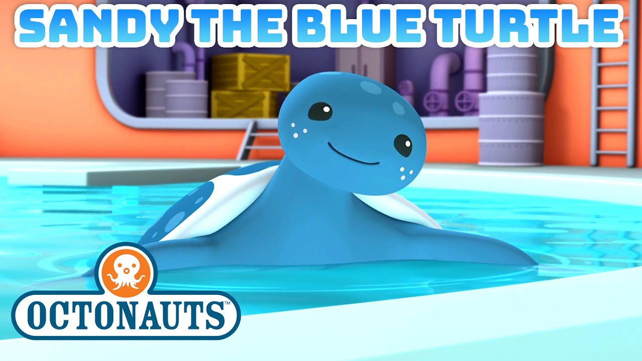 @Octonauts - Sandy the Blue Turtle | World Turtle Day 🐢 Compilation ...