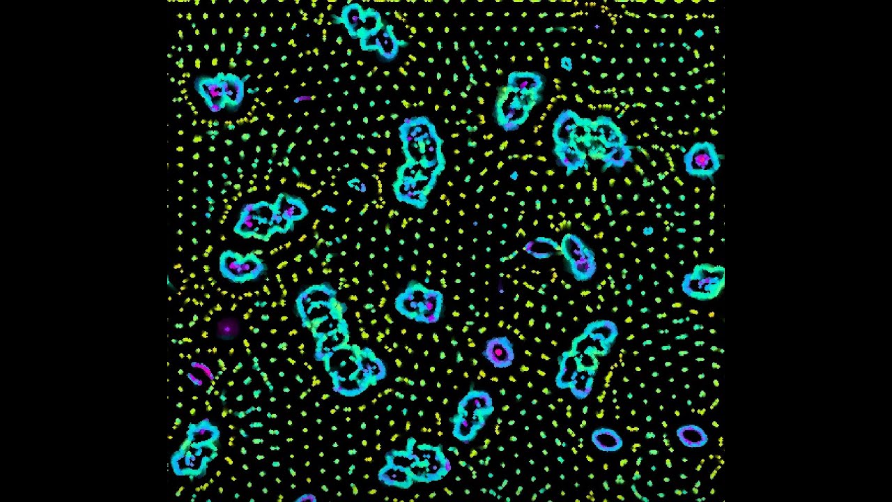 Primordial Particle System #Exp 9 - YouTube