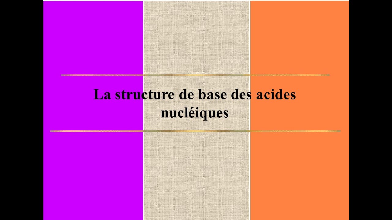 La structure de base des acides nucléiques - YouTube