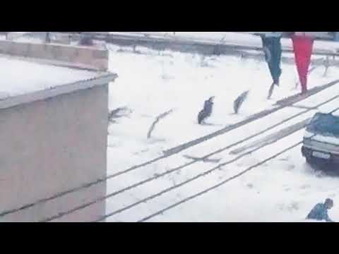 Qar yağdı Axırıki Bakı Qar üzü gördü