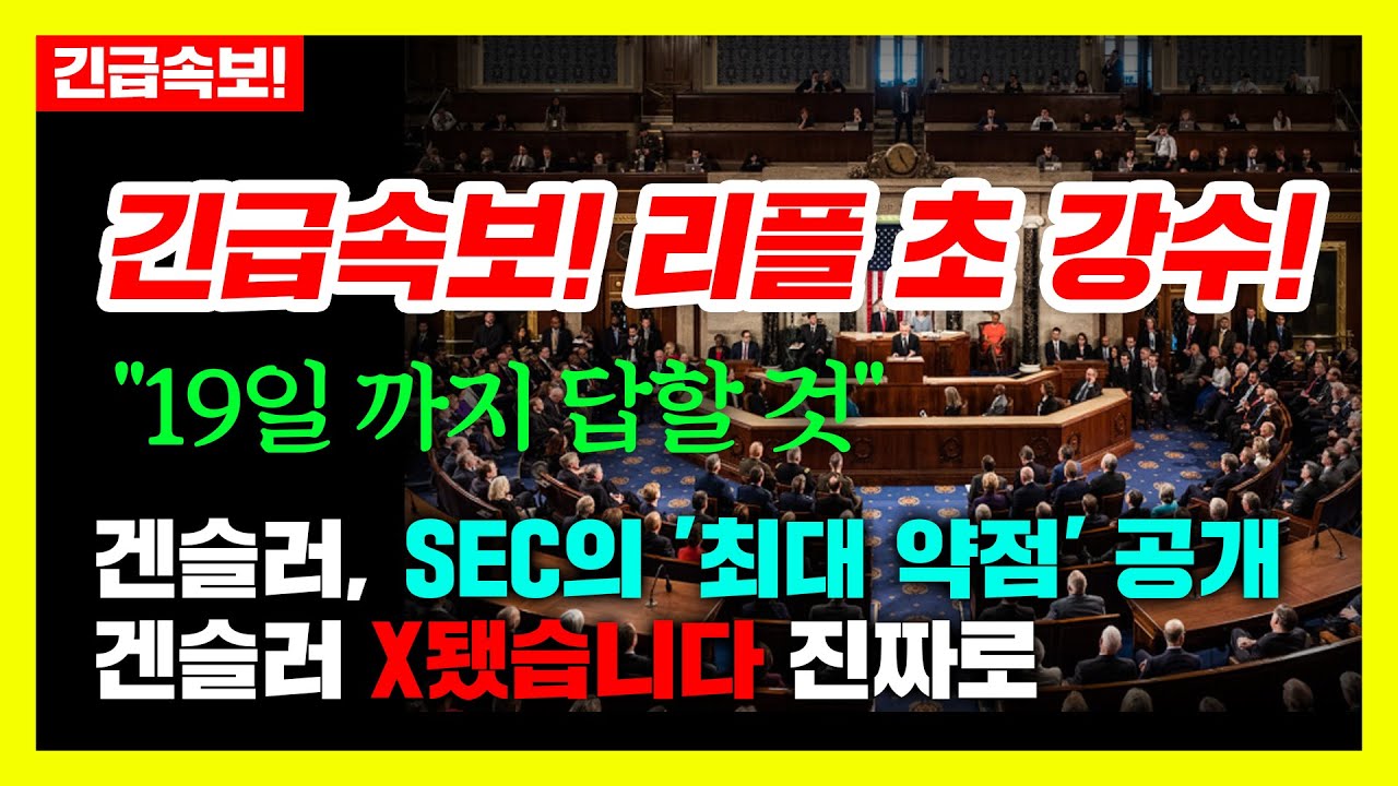 긴급속보 리플 초 강수 19일 까지 답할 것 겐슬러 Sec의 최대 약점 공개 겐슬러 X됐습니다 진짜로 리플코인전망 리플코인호재 리플전망 리플코인