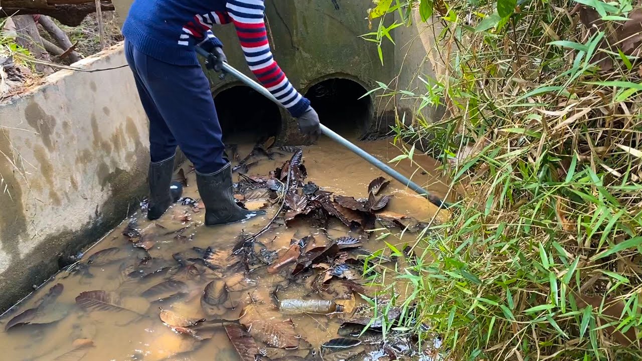 Super Woman! Unclogging Culvert Pipe Removal Leaves From Drain - YouTube