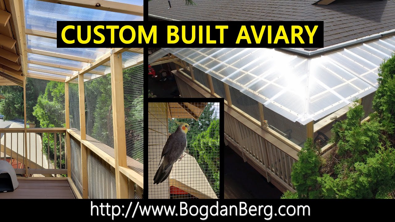 Custom Built Aviary - YouTube