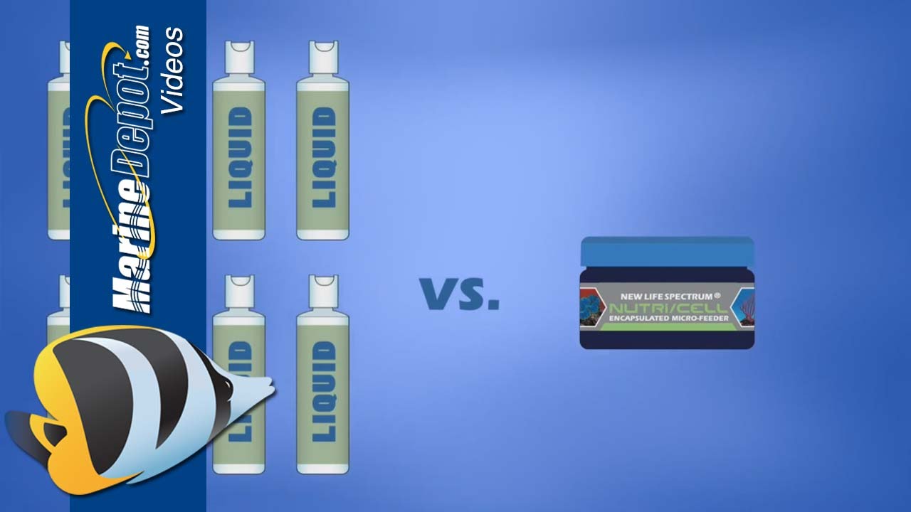 New Life Spectrum Nutri Cell for Corals - YouTube