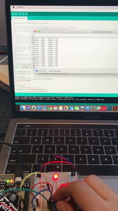 Serial Monitor - YouTube