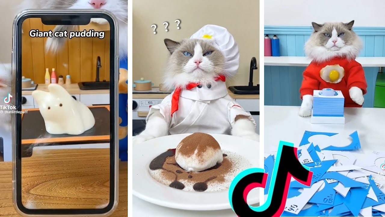 Funny Videos That Little Puff - March 2024 - YouTube