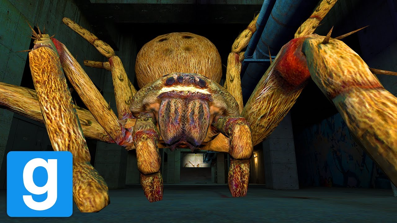 THE HUNTSMAN SPIDER IN GMOD WILL GIVE YOU NIGHTMARES... - Gmod Hide ...