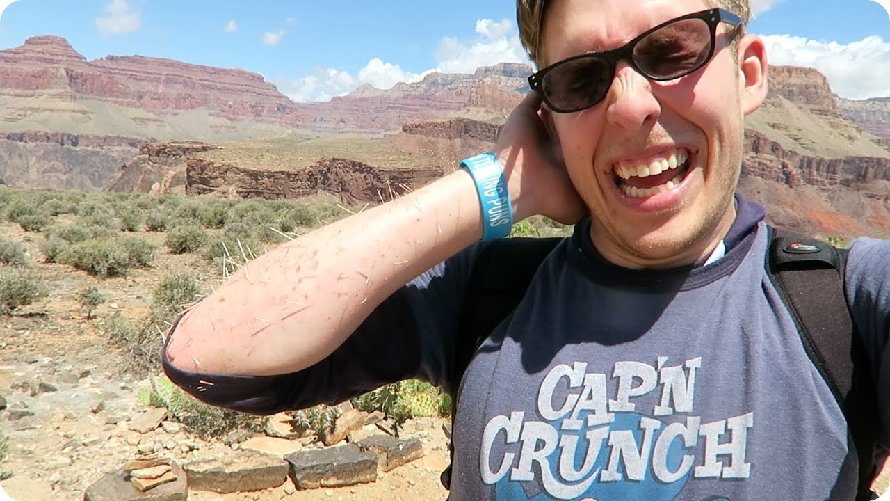 I FELL INTO A CACTUS | Evan Edinger Travel - YouTube