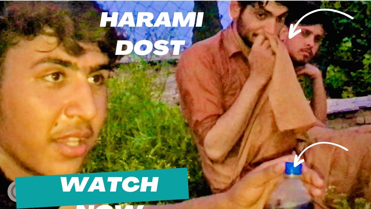 Harami dost 😳😳😆 - YouTube