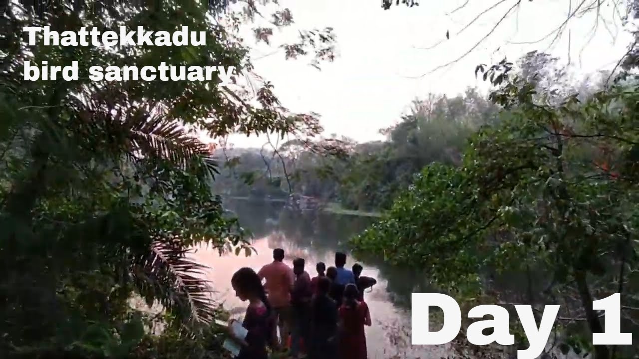 My First camp - Thattekkadu bird sanctuary- Day 1 - YouTube