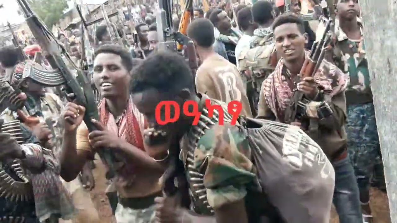 ደምስስ -ሰጋር ብርኪ ሊሎ TDF | Tigray Defence Force - YouTube