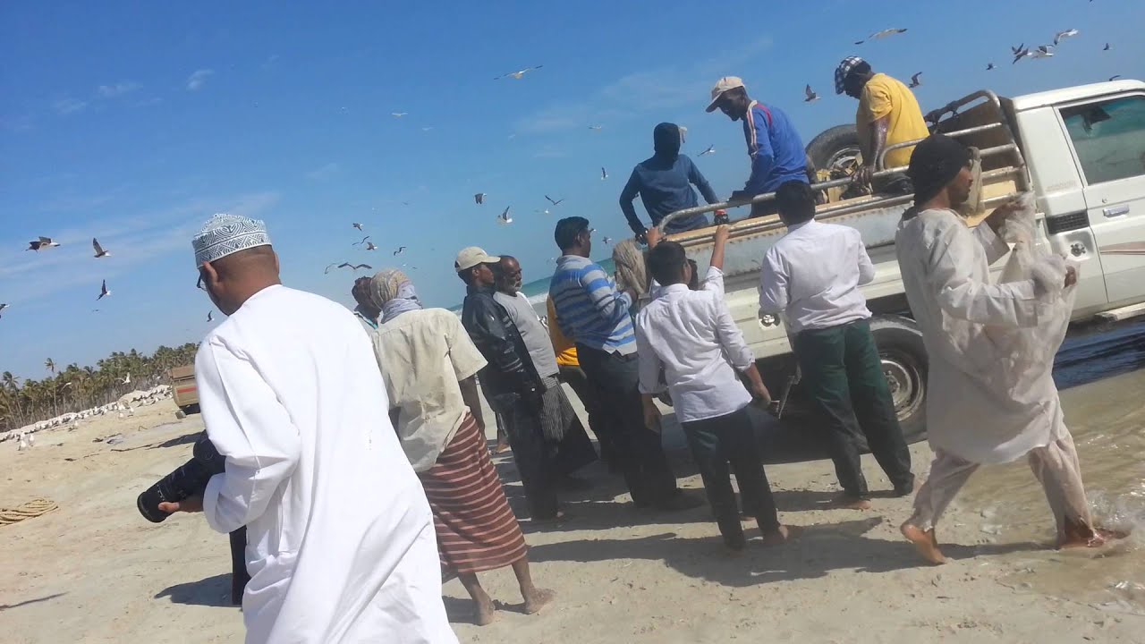 Fish chakara at oman salalah - YouTube