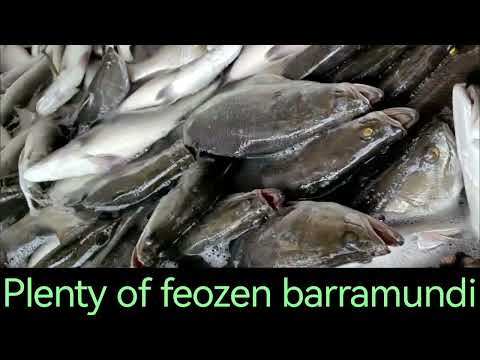 looking for the buyer and the need of barramundi,Please feel free to contact me
