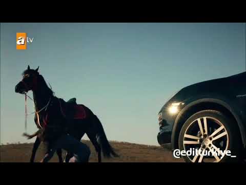 Reyyan & Miran / Üzülmedin mi ? Klip