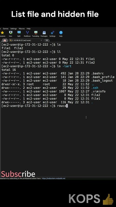 Linux Command List The File And Hidden File Linuxcommands Tamil English Linuxcommand Youtube