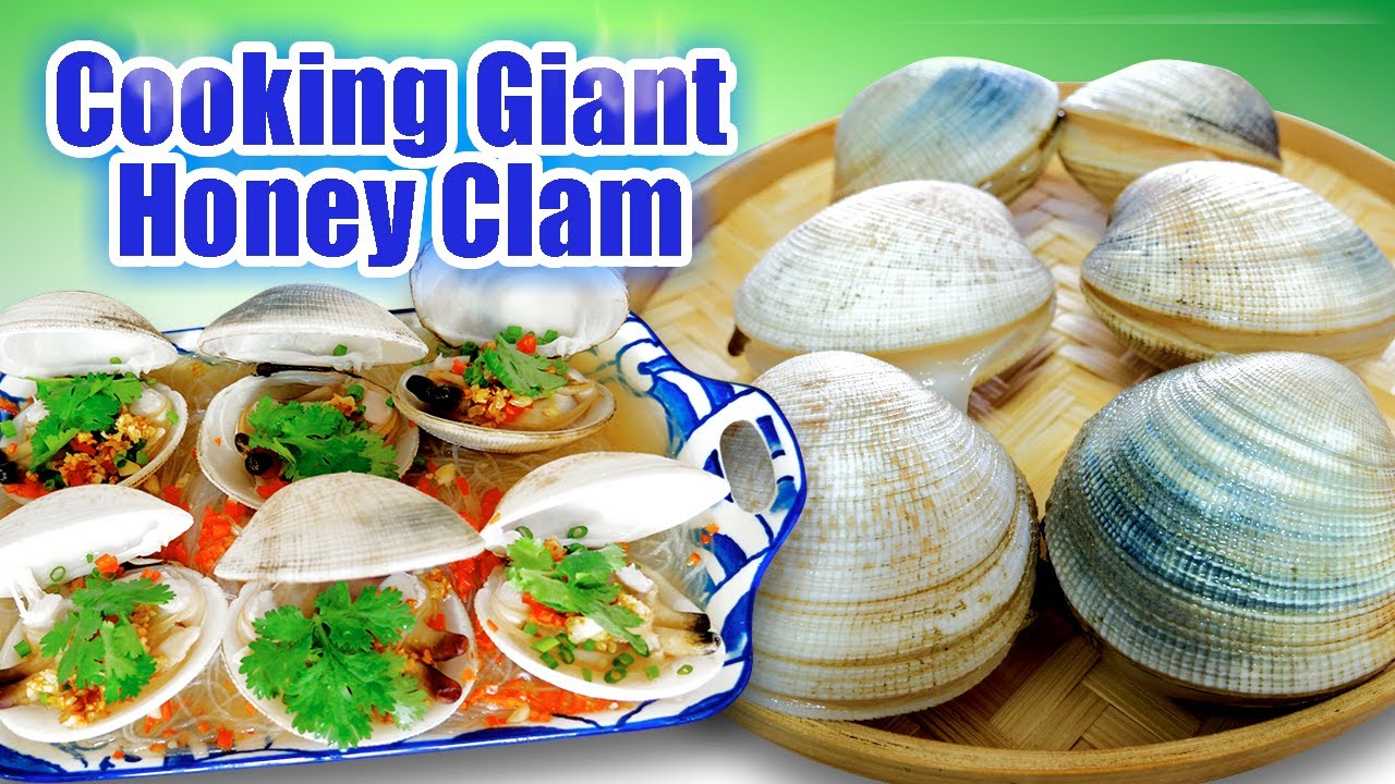 Steamed Giant Honey Clams - YouTube