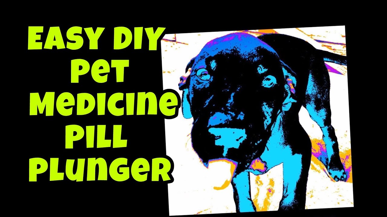 DIY Pet Pill Popper For Stubborn Fur Babies - YouTube