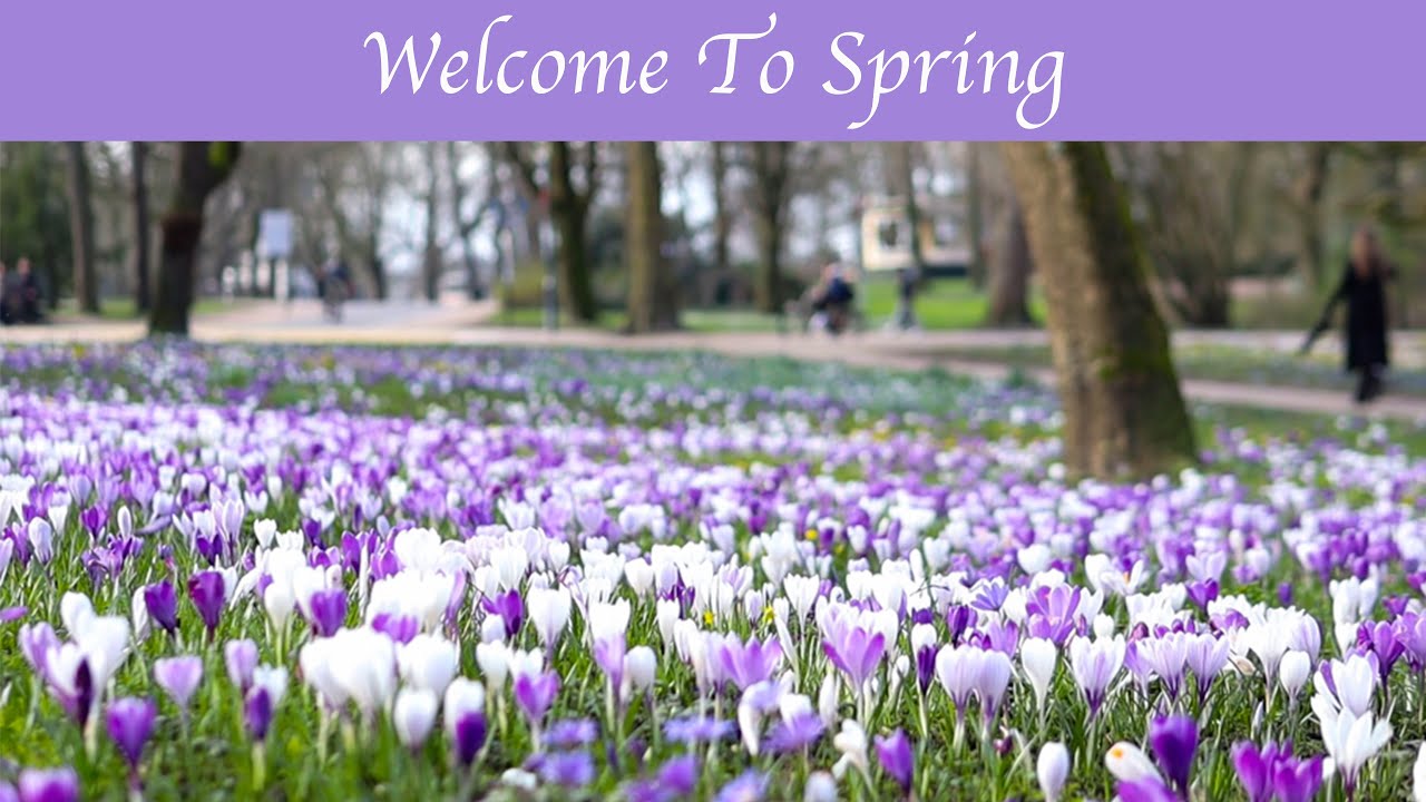 Beautiful Spring Days🌷 | A Slow & Peaceful Day | Preparing Dinner ...