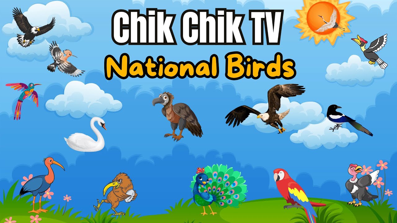 Fun and Colorful Birds for Kids | Learn About Birds in Nature! - YouTube