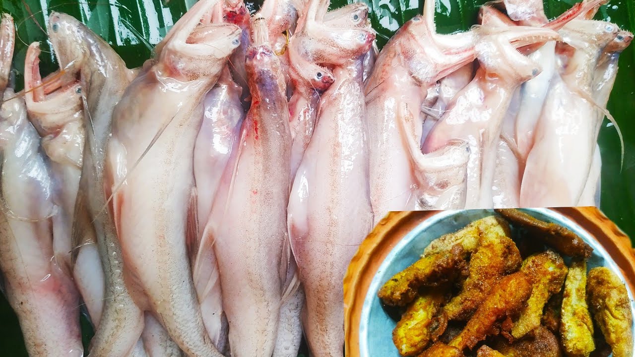 সুস্বাদু লোটে মাছের টেস্টি পকোড়া রেসিপি| Delicious Lotte Fish Tasty ...