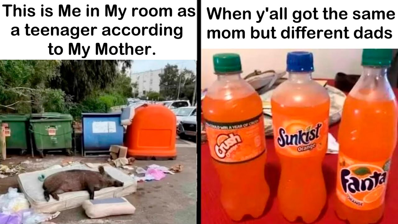 Funny Memes To Scroll Through When You Need A Mood Booster | Happy ...