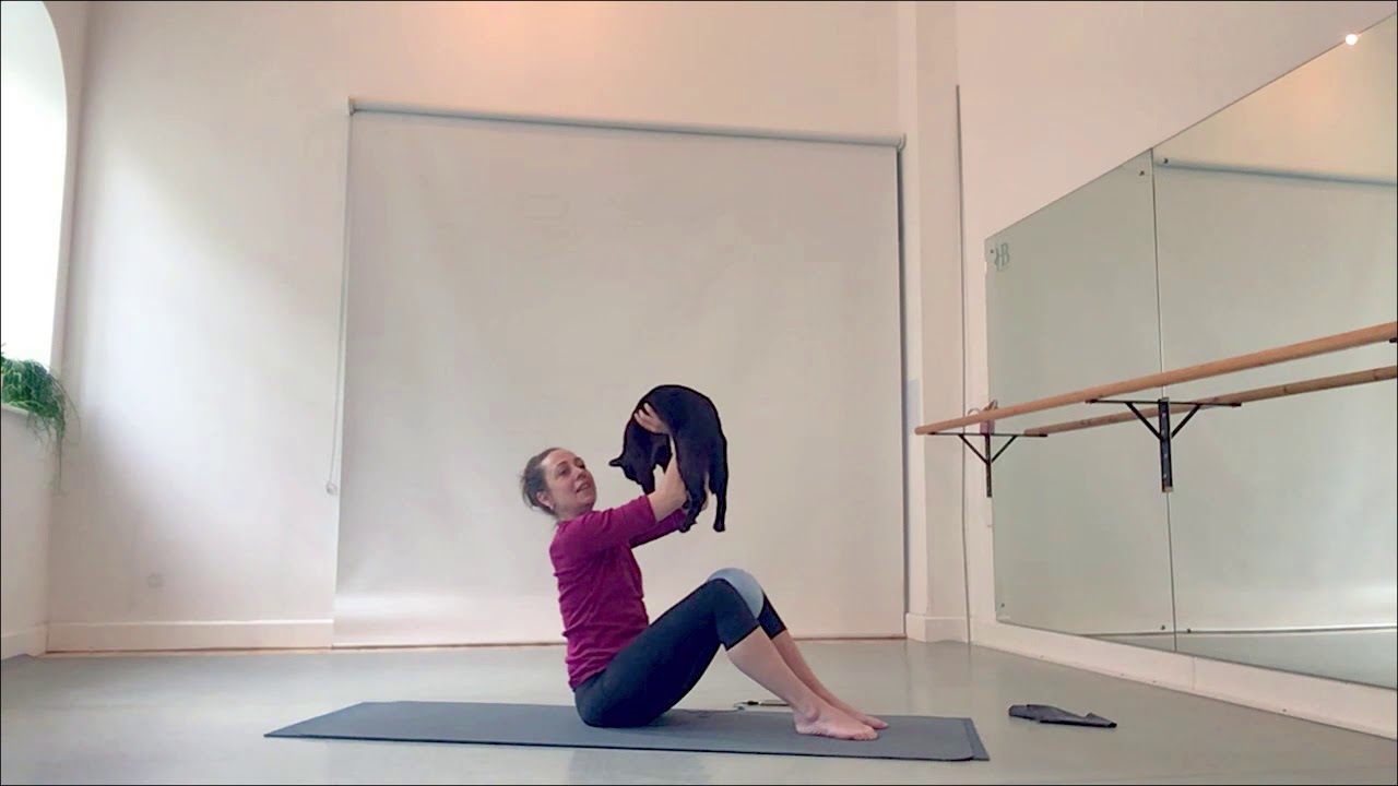 Pilates With Herbert the Cat - YouTube