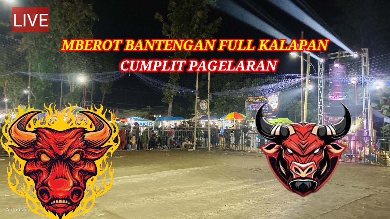 Mberot bantengan pusat paradise kalapan malangan - YouTube