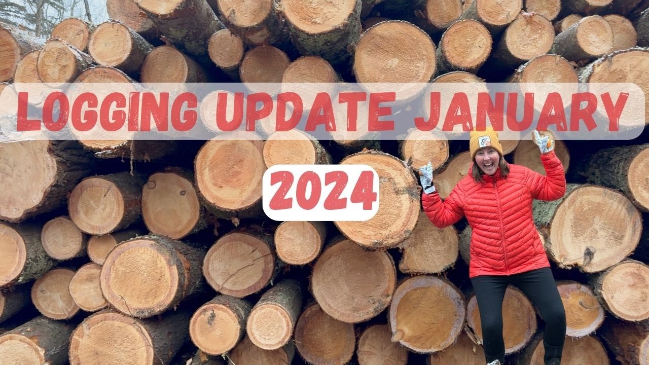 Well-Managed Forestry in Vermont | Selective Logging in our Forest ...