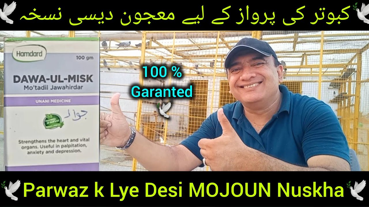 Kabootar ki parwaz ke lye Majoun nuskha | kabutar k lye desi Majoun ...