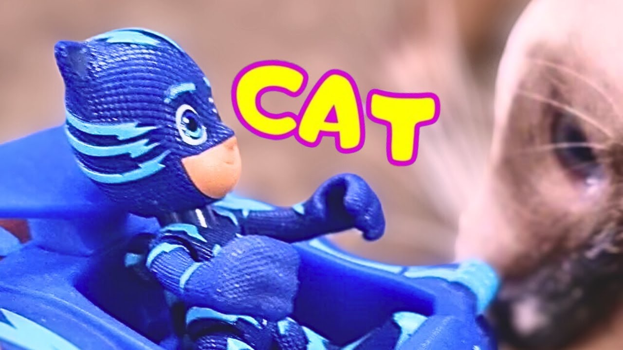 Cats vs Cars - The Best Funny Cat Videos ️😻 🚗 #cats #cat #catvideos # ...