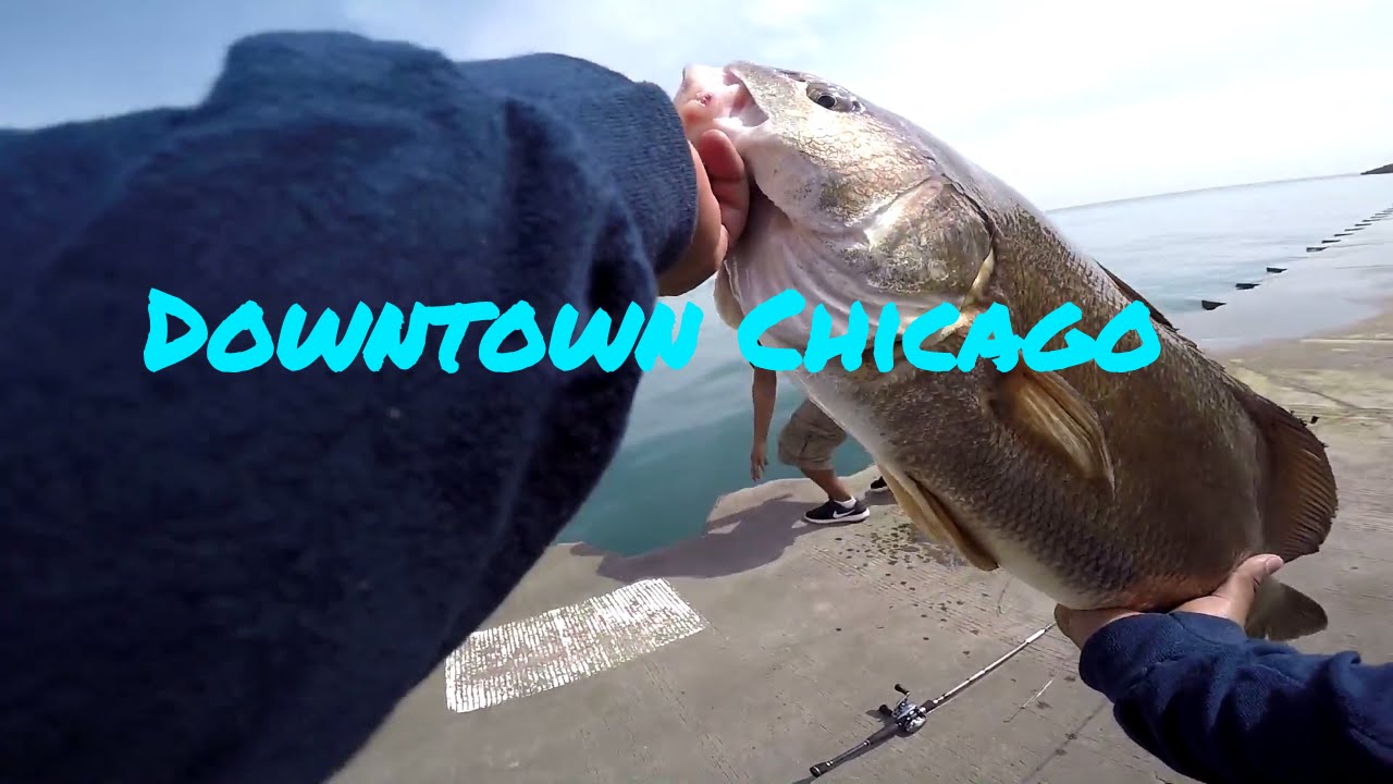 Fishing Downtown Chicago Lake Michigan - YouTube