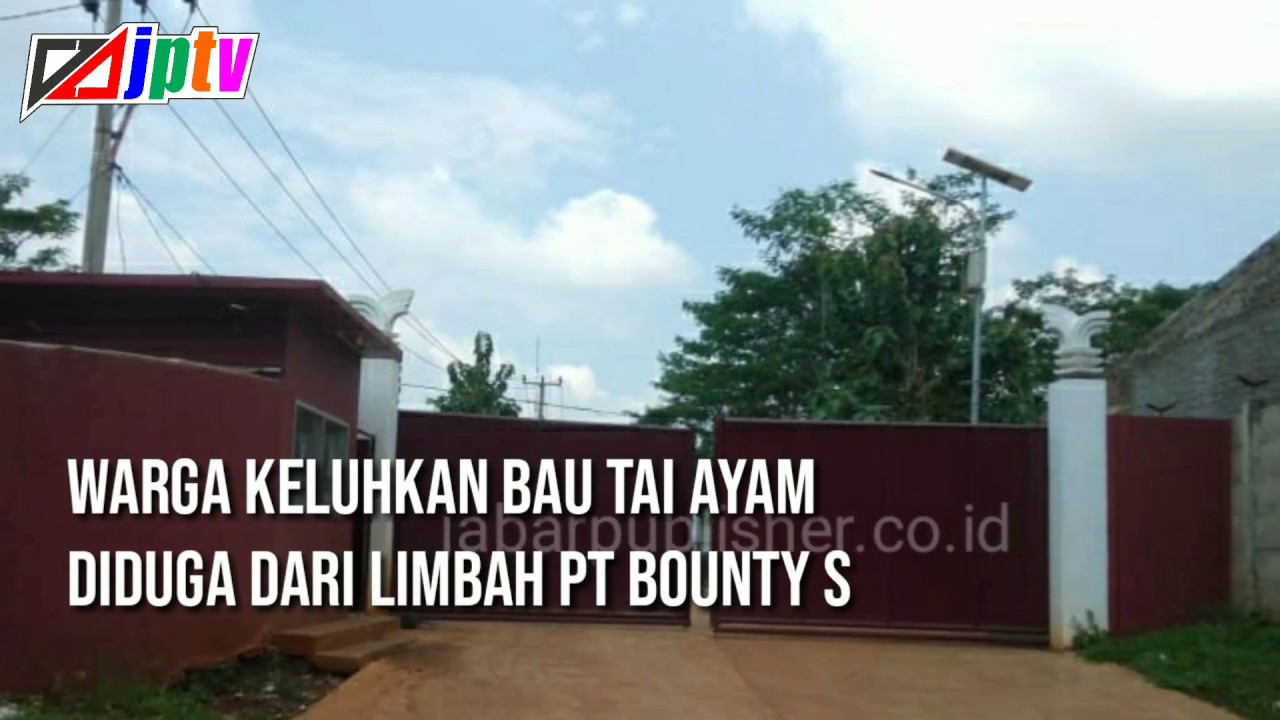Warga Keluhkan Bau Tai Ayam Diduga Dari Limbah PT Bounty Segar ...