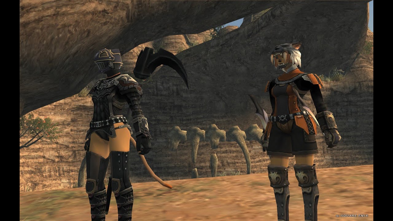 【FF11】VUしたけどキャンペーンは明日から！とりあえず古銭でも買いに行くか… 【ビス鯖】 - YouTube