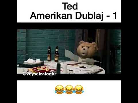 Bira içen kedimi olur