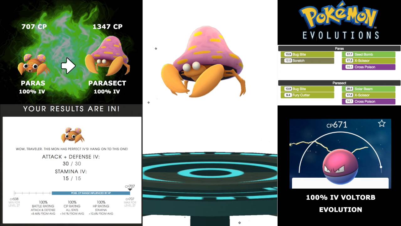 100% IV Paras Parasect Evolution, Pokemon GO - YouTube